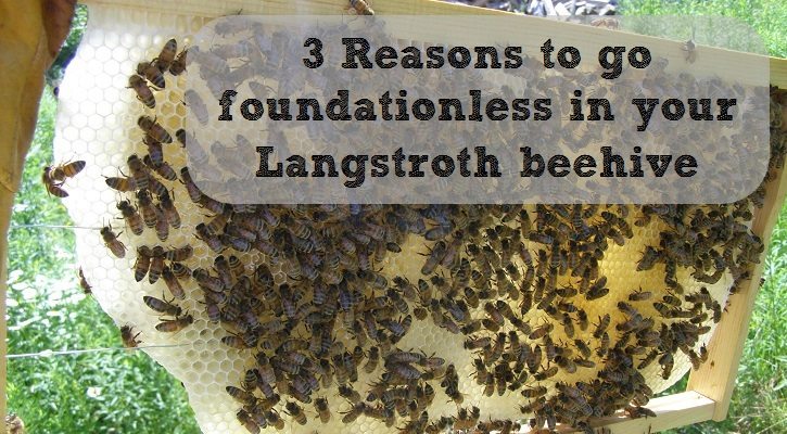 Foundationless Frame Beehive Dimensions